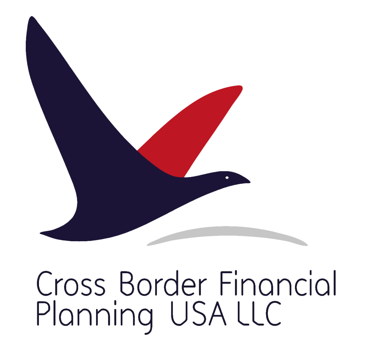About Us – Cross Border Financial Planning USA LLC